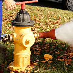 #1 Fire Protection & Extinguisher Services in Phoenix, Arizona & Beyond
